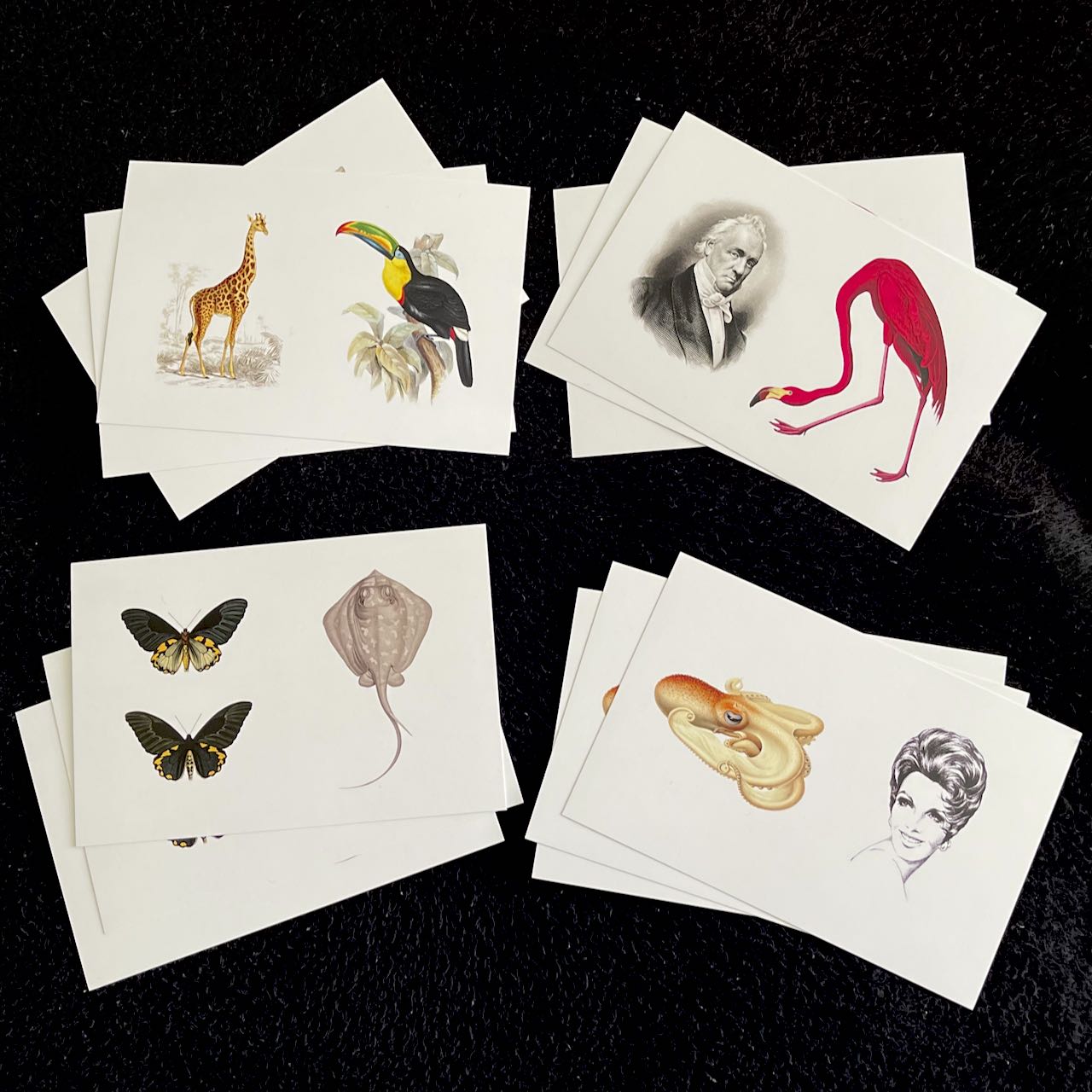 Set of 12 Postcards - Andy Ross Fine Art